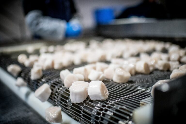 Quality Custom Packing // QCP Scallops // BRC Production